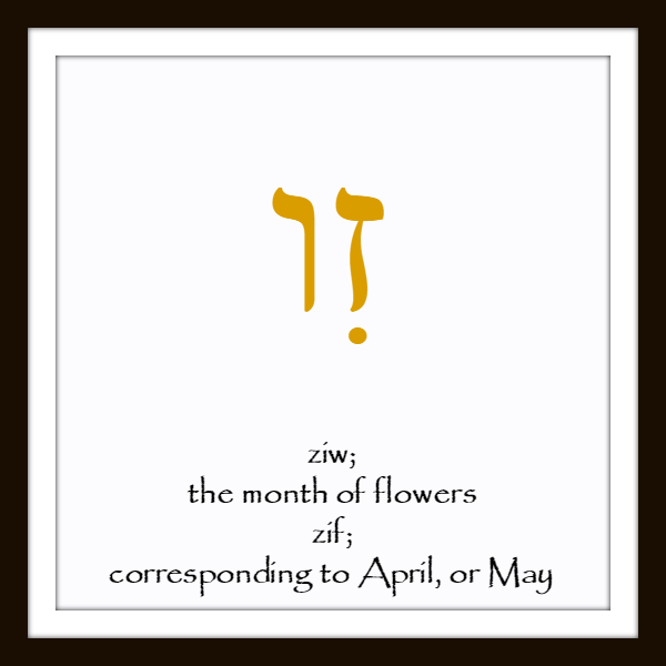 Definition of Zif | Life After Ministry