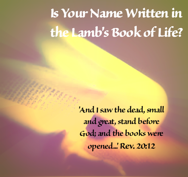 Every Person Ever Born Already in Lamb’s Book of Life? | Life After ...